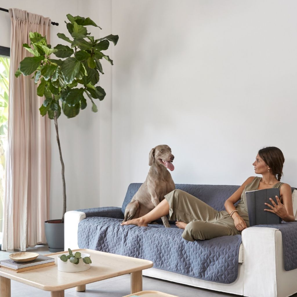 SOFA COVER כיסוי לספה | ד״ר גב