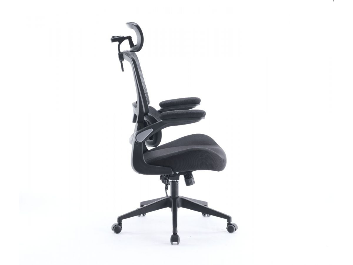 כיסא משרדי ERGOMAX | ד״ר גב